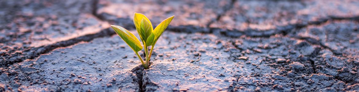 Volatility, long-term thinking and the Stockdale Paradox - Fiske